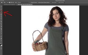 How to Use the Refine Edge Tool in Photoshop