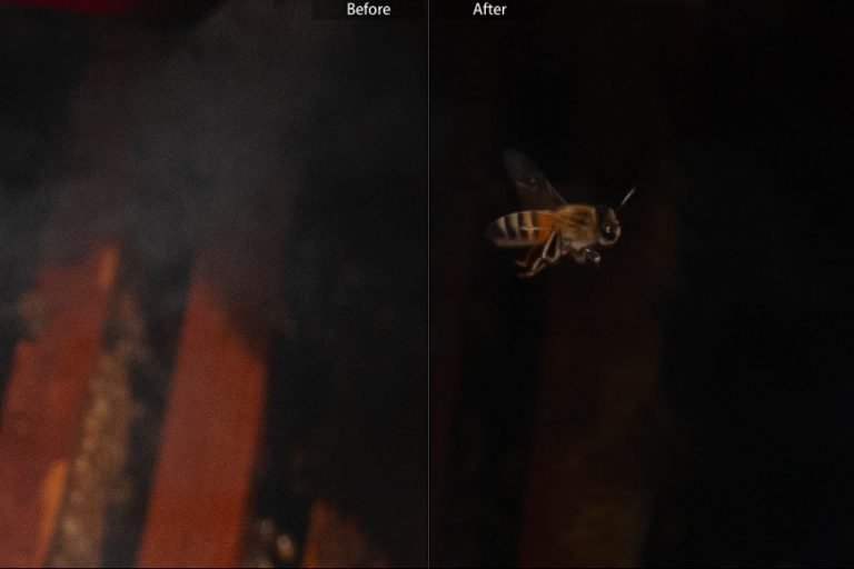 How to Use Lightroom Noise Reduction (Desktop & Mobile)