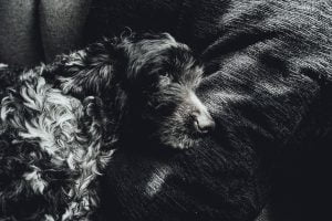 What is Monochrome Photography? (+Examples & How to Shoot it)