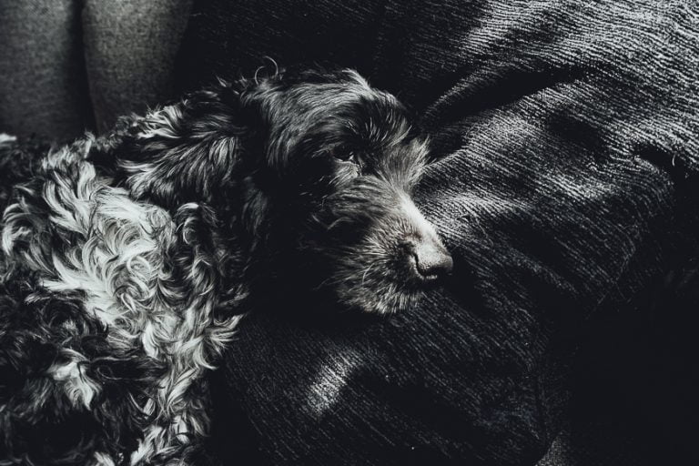 What is Monochrome Photography? (+Examples & How to Shoot it)