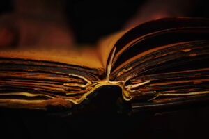 How Do You Take Macro Photography? Ultimate Guide