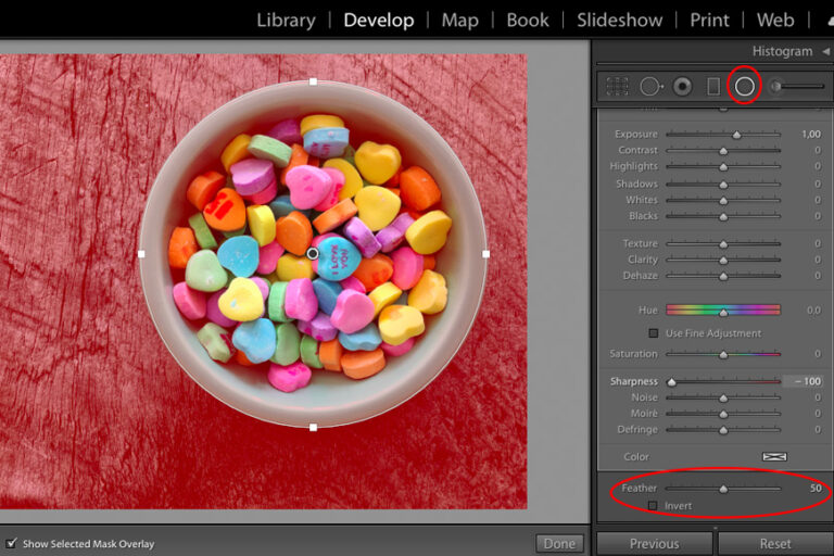 How to Blur Background in Lightroom (3 BEST ways!)