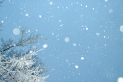 Ultimate Guide to Snow Photography (+ 15 PRO Tips)