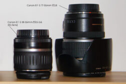 10 Types of Camera Lenses You Should Try in (+ Buying Tips)