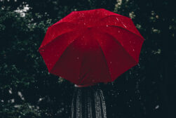 Guide to Rain Photography (+8 CREATIVE ideas!)