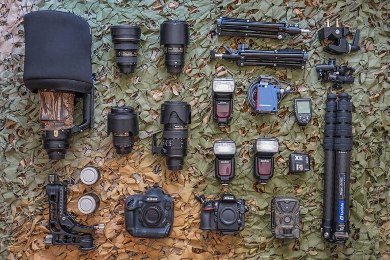 Wildlife Photography Tips, Ideas & Real World Examples