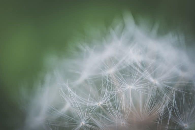 14 Ways to Use Asymmetrical Balance in Photography