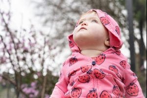 Hard Light vs Soft Light (Difference & Pros/Cons)