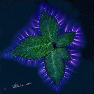 Uncovering the Aura SECRETS of Kirlian Photography
