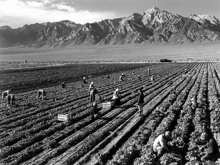 14 Famous Nature Photographers (& How Much They Earn!)