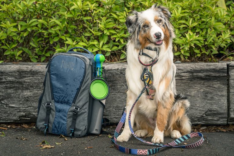 Toxic Valkyrie Camera Backpack Review - A Rebel Among Bags