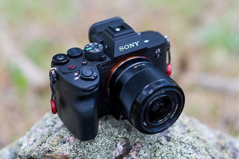 10 Great Mirrorless Cameras That We Love This Year