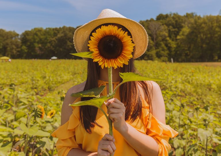 12 Sunflower Field Photoshoot Ideas + Clothing & Posing Tips