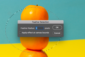 How to Create a Vignette Effect in Photoshop (Two Easy Methods)