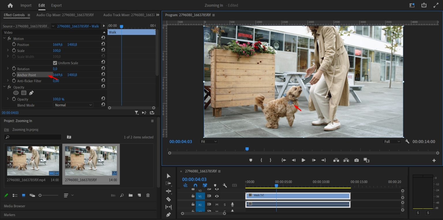 How to zoom in on Premiere Pro (3 Simple Methods)