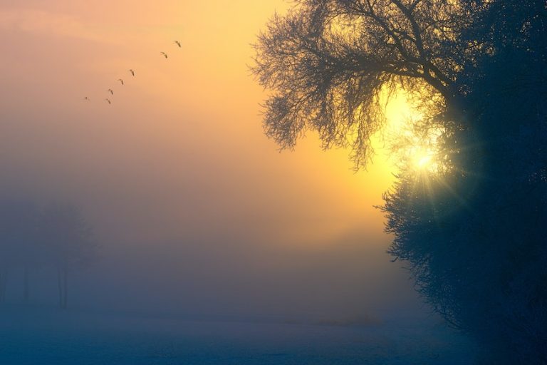 Fog Photography: How to Get The Best Shots in Foggy Weather