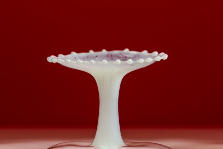 Water Drop Photography for Beginners: Fun Ideas & Tips