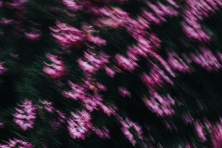 How to Use Intentional Camera Movement (ICM) in Photography