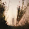 Multiple Exposure Photography: Ideas, Examples & Techniques