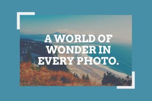 141 Catchy Photography Slogans & Taglines (+ Brand Examples)