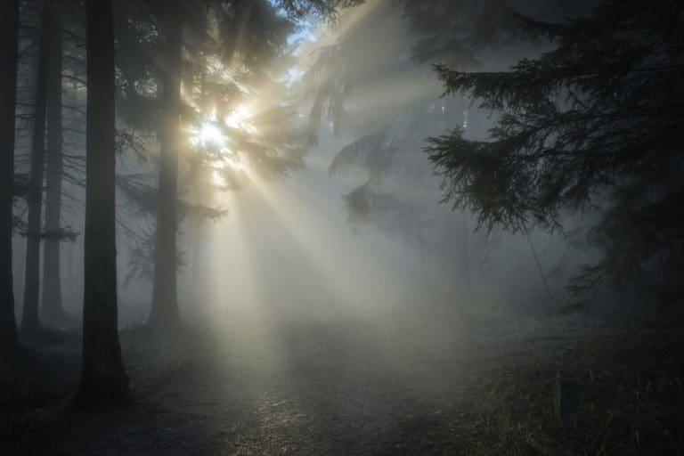 Dreamy & Ethereal Photography Techniques + Editing Tips