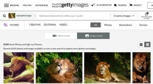How To Do a Reverse Image Search of Instagram Pictures