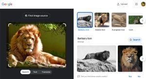 How To Do a Reverse Image Search of Instagram Pictures