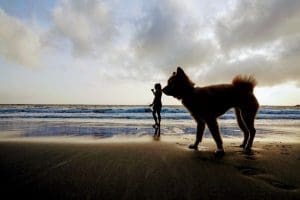Foreshortening in Photography: Tips to Master Perspective & Depth