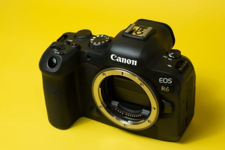 Beginner’s Guide to Mirrorless Cameras in 2024