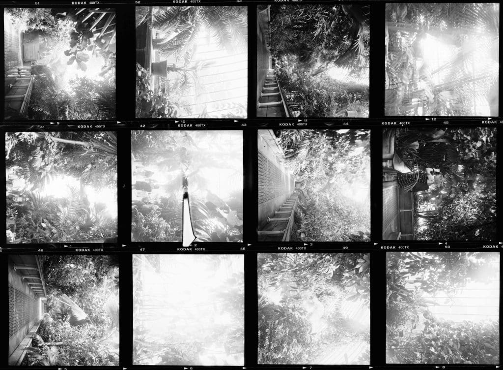 How to Make a Contact Sheet in Lightroom Classic