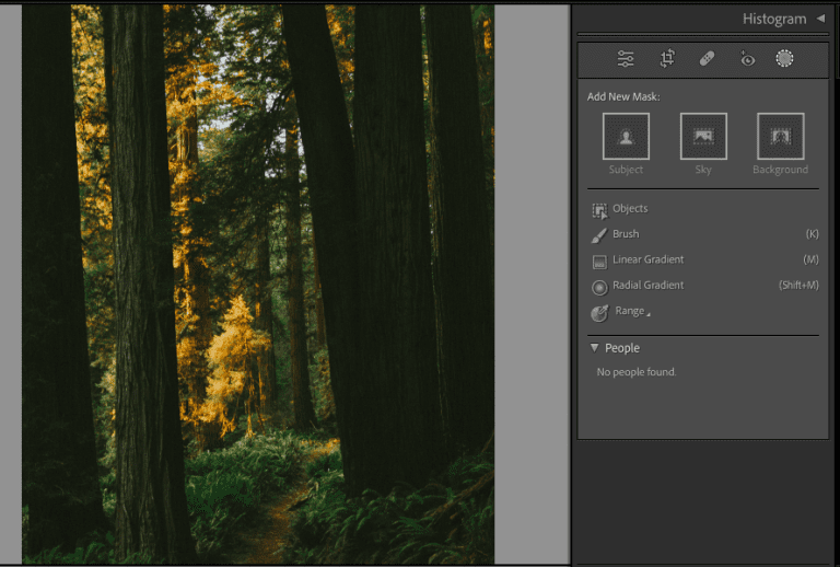 5 Popular Effects in Lightroom (& How to Create Them)