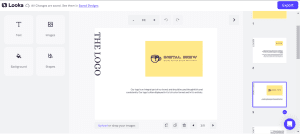 Looka Logo Design Review - AI-Generated Branding